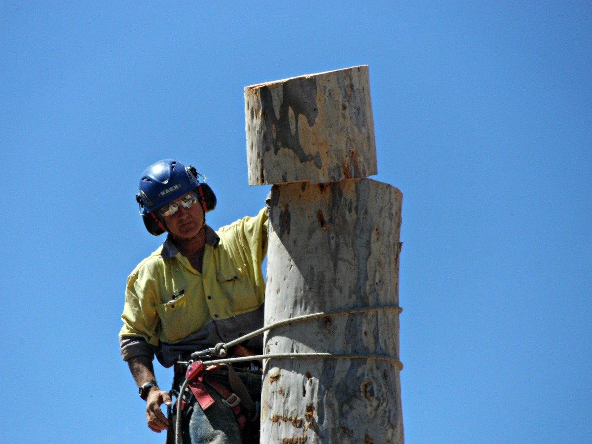 Why Tree Removal Jobs Surge Before Storm Season