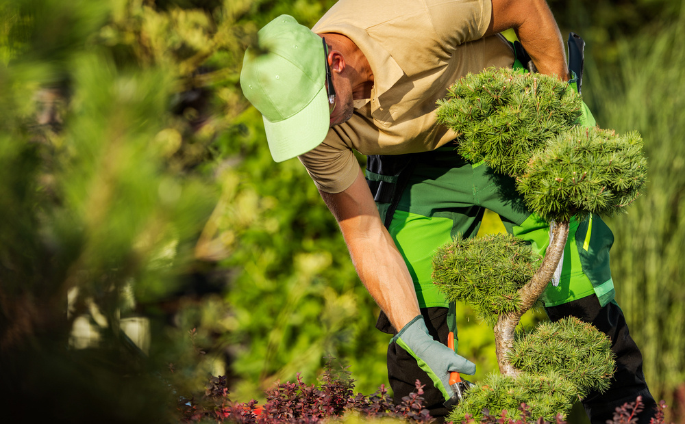 How to Find a Tradesman for Your Landscaping Needs