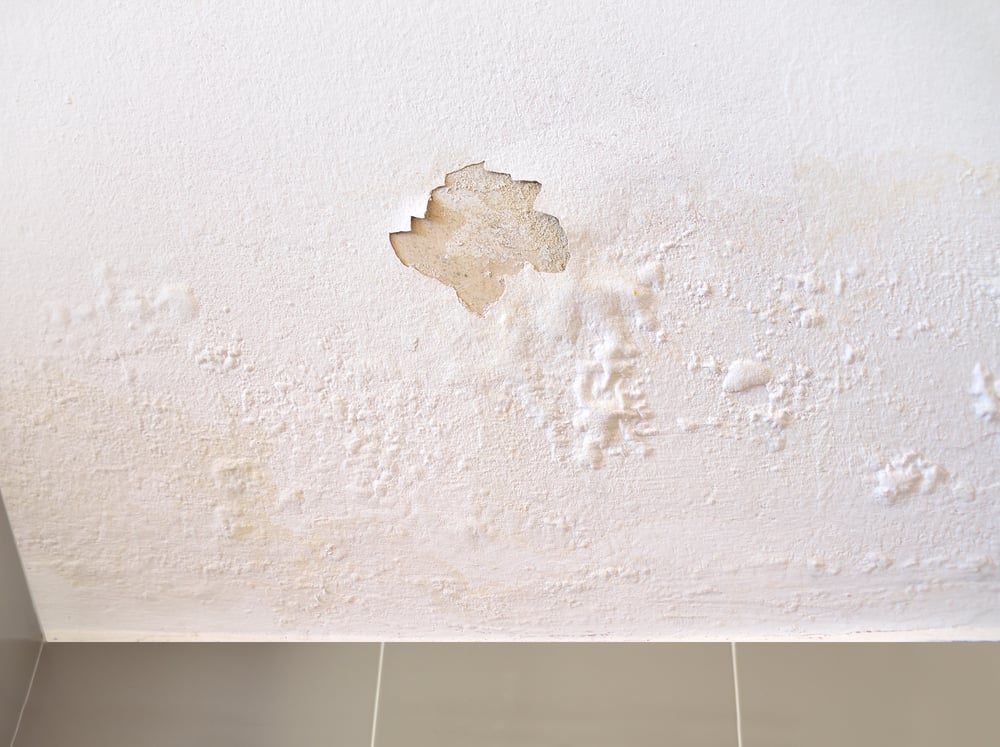 10 Ways to Prevent Mould in Cooler Seasons